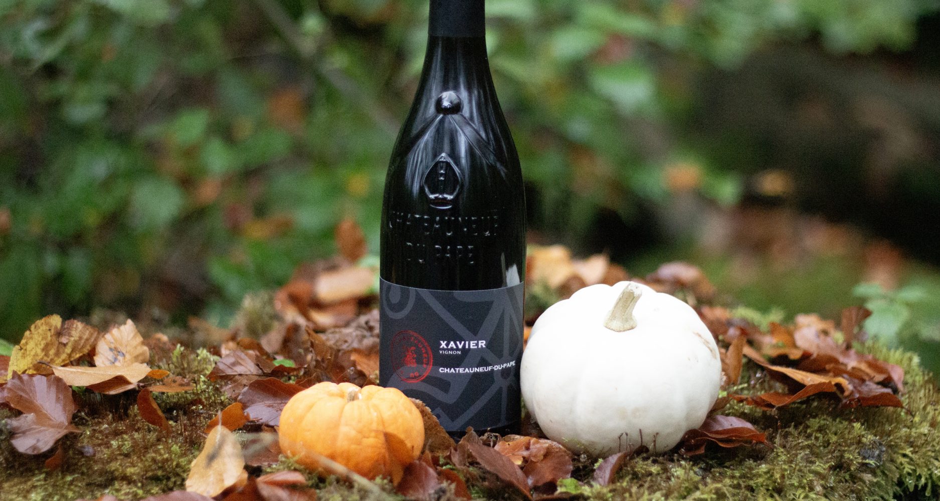 The Ultimate Wines for Autumn - My Fine Cellar